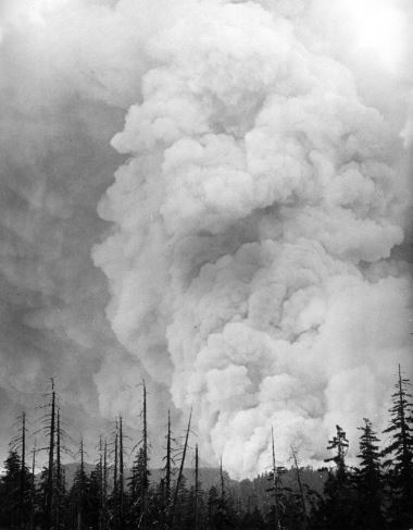 McMenamins History Pub: Tillamook Burn: Legacy of Fire. June 25 ...